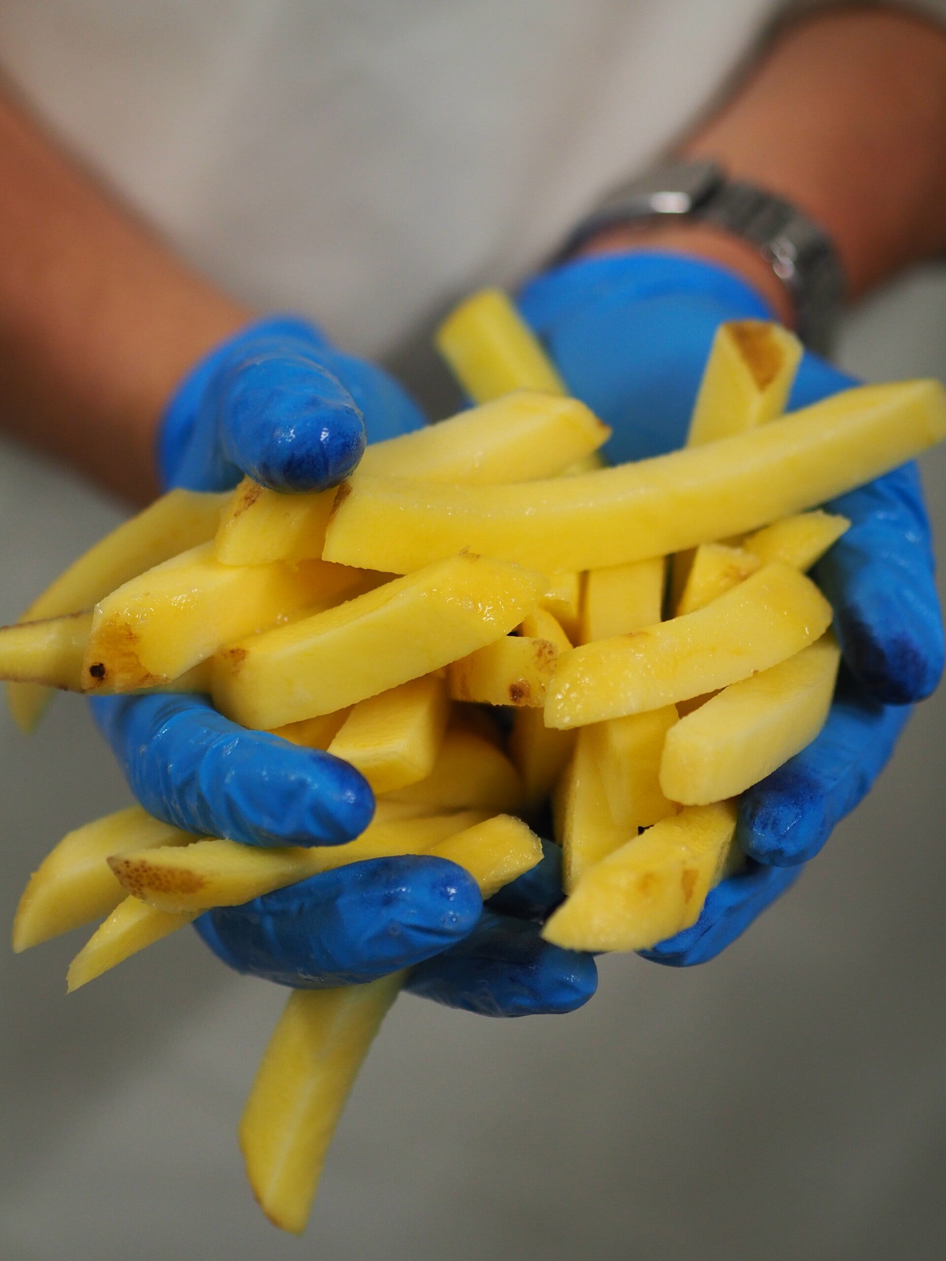 Dé groothandel voor verse frieten