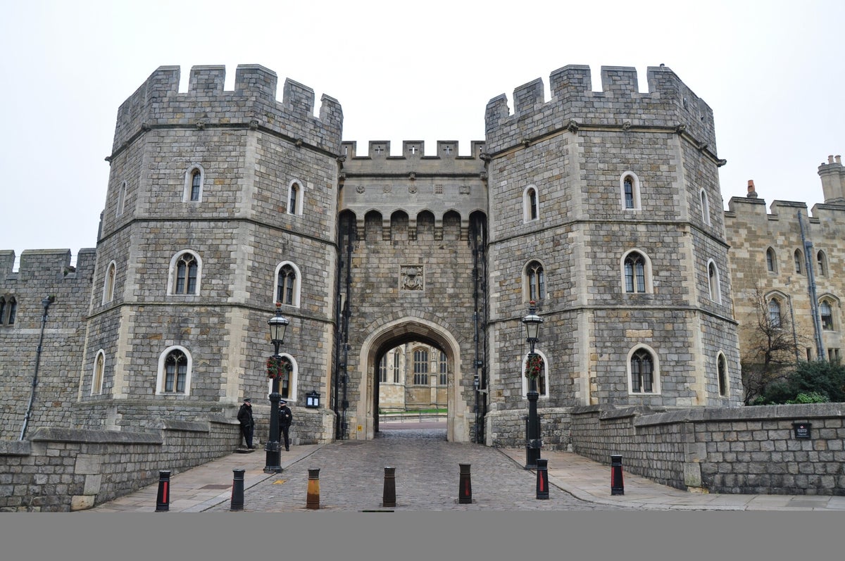 Health & Awareness - The Mastiff House