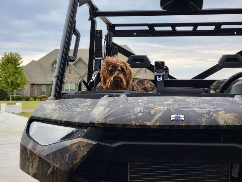 Gallery & Testimonials | Anderson K9 Kennels