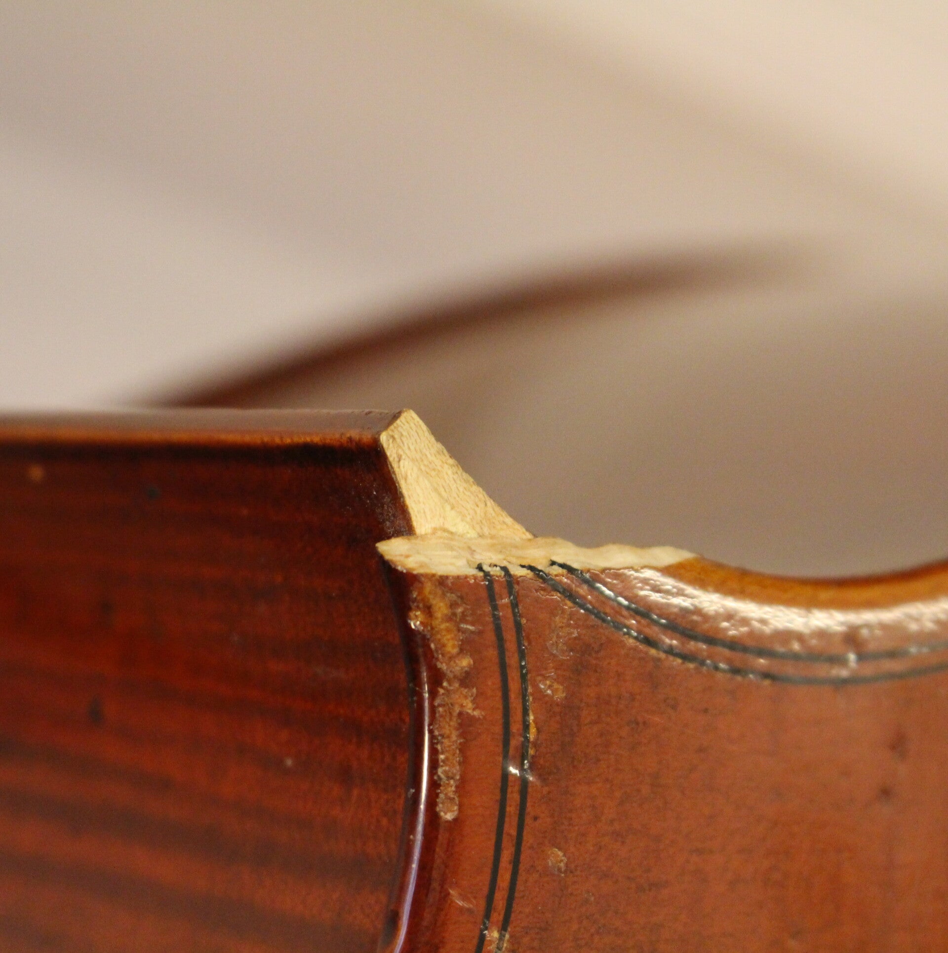 Contrabas | Atelier Bram De Man // Fine Double Basses