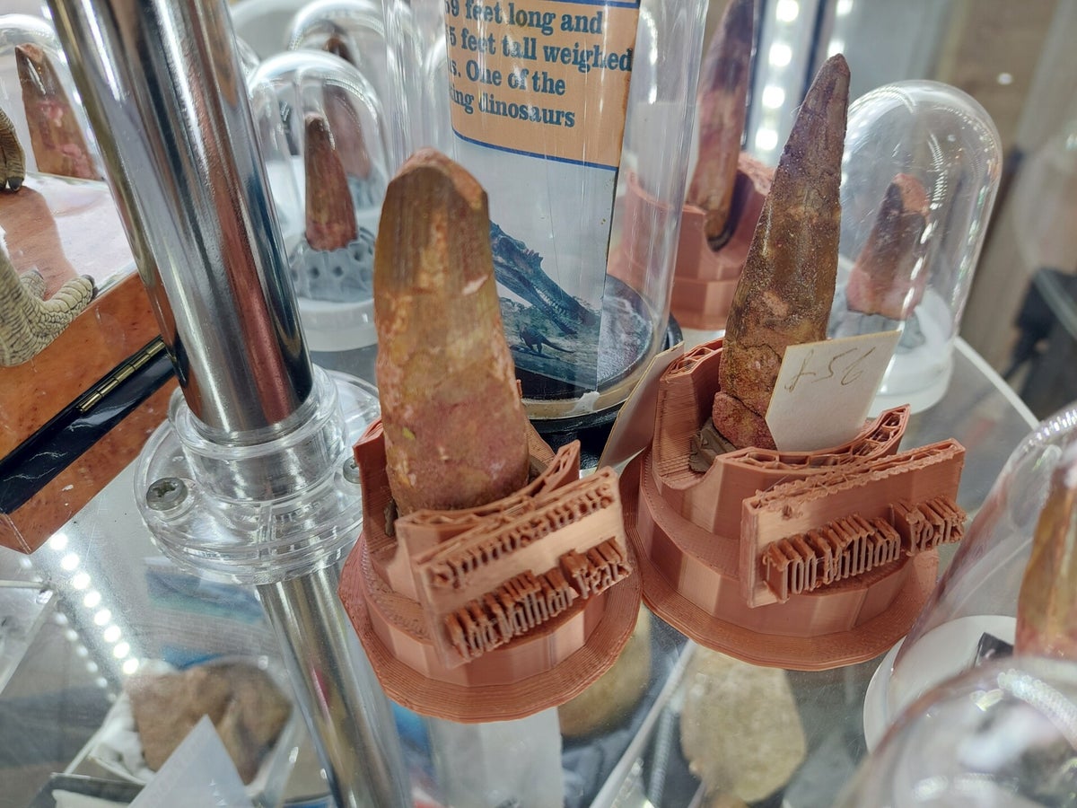DINOSAUR TEETH Spinosaurus | Albion Craft Silver Smiths