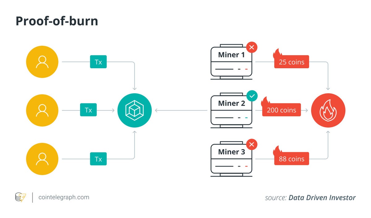 Consensus Mechanism: Proof of Burn