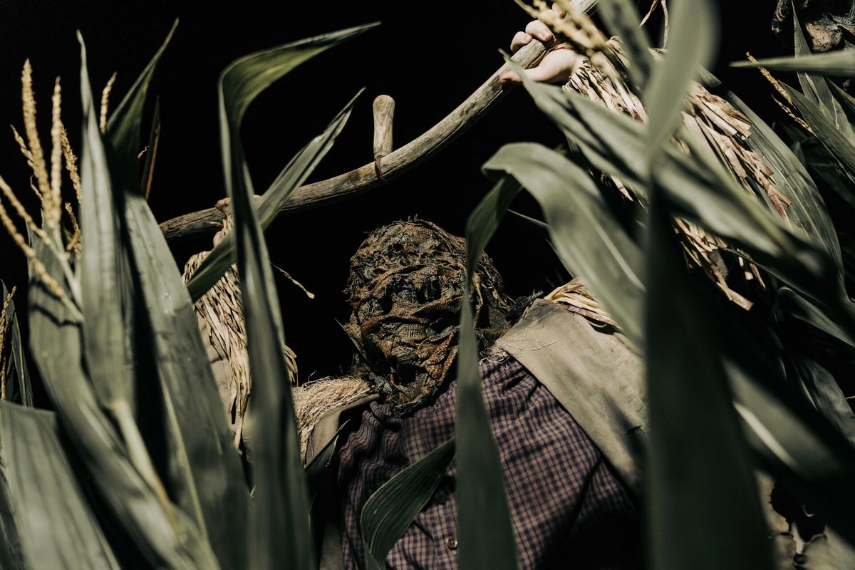 Gallery | Total Terror Haunt