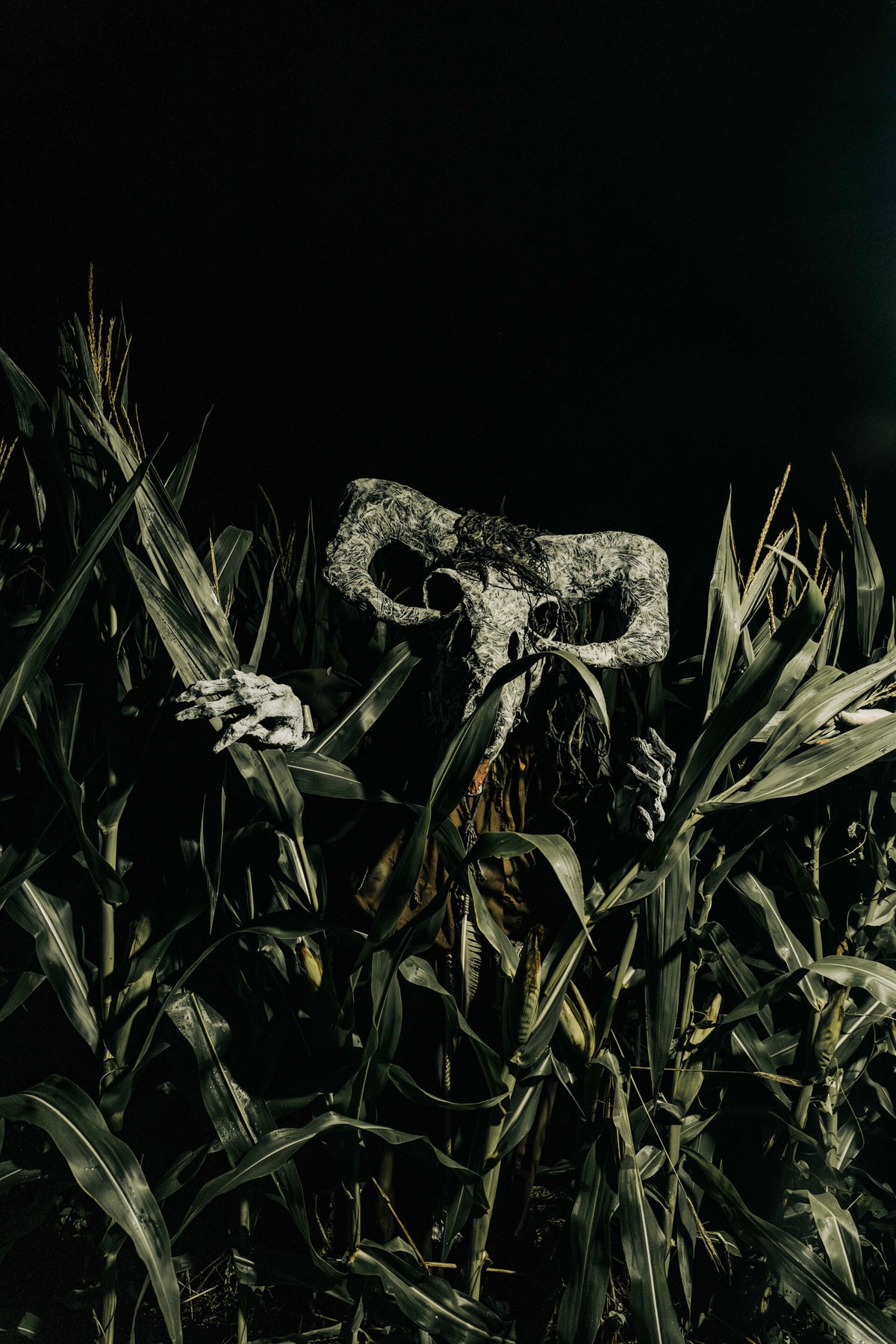 Gallery | Total Terror Haunt