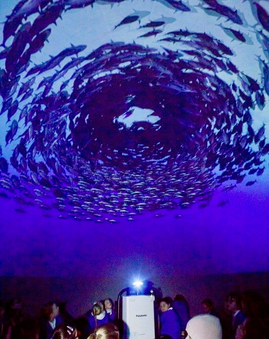 Exploration Dome Mobiel Planetarium