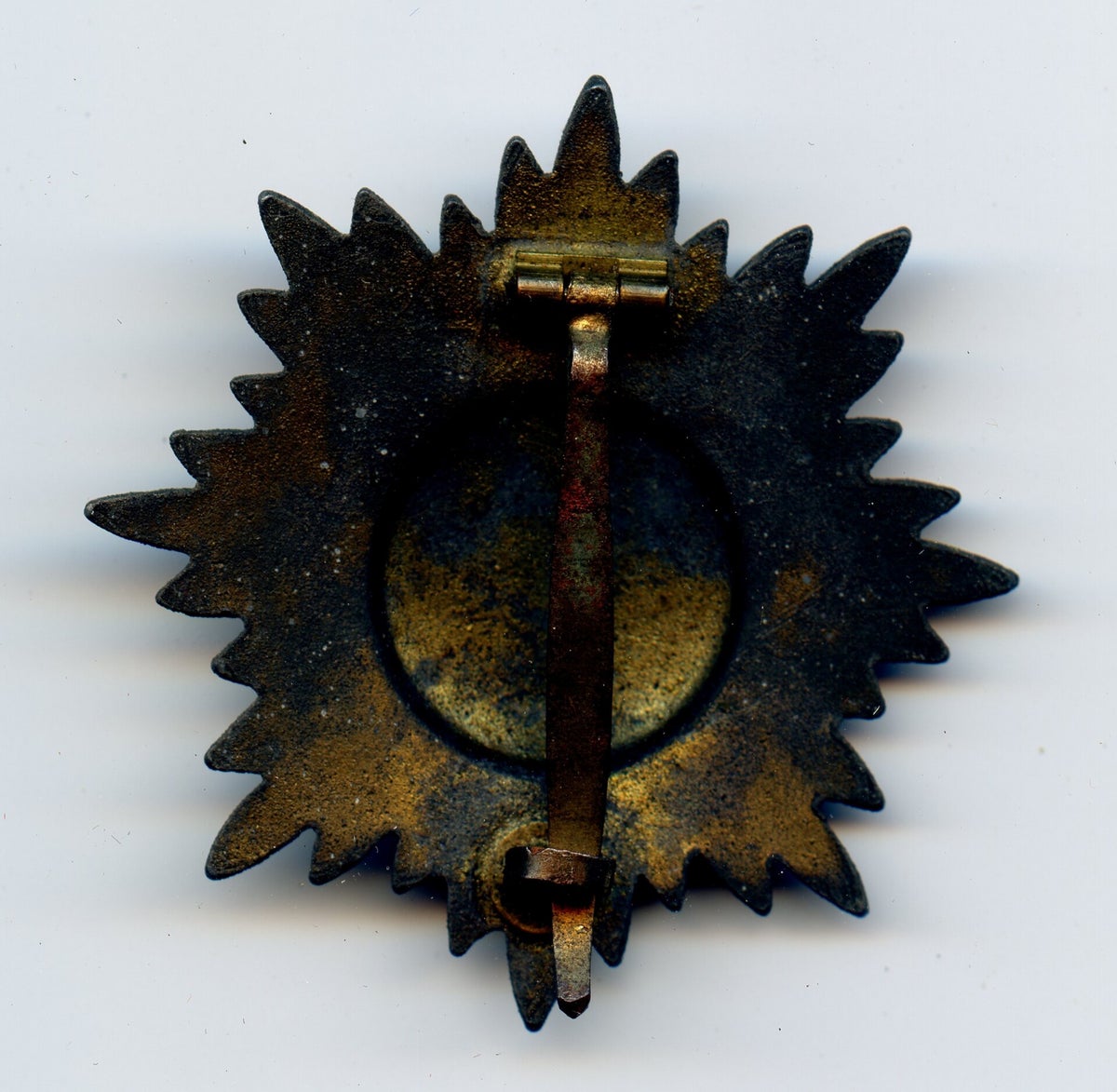 Gold 1st Class Ostvolk Decoration for Bravery | Chasing Militaria