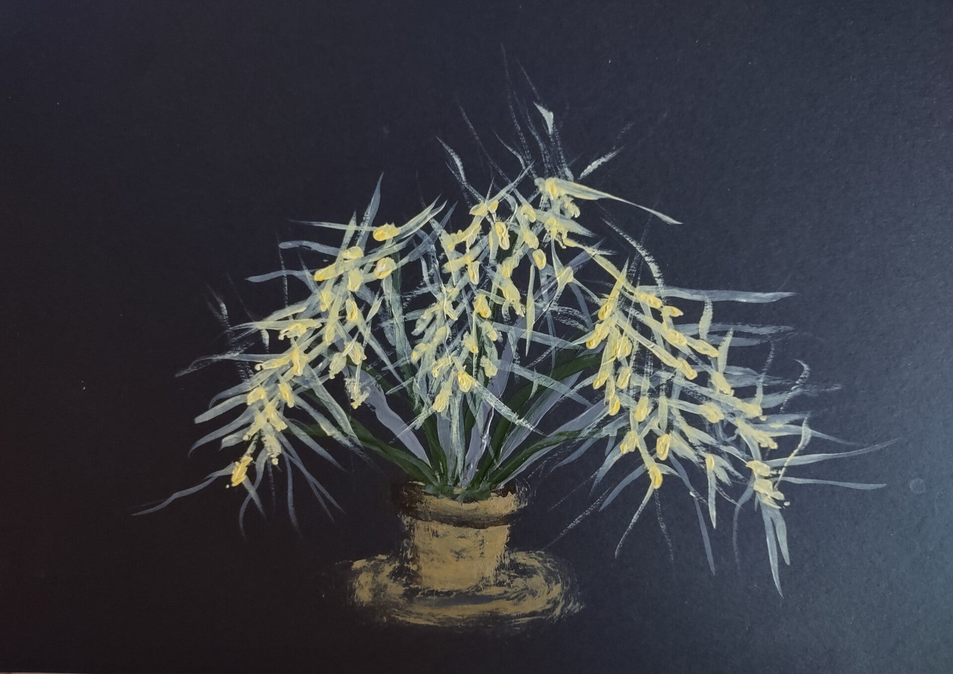 Art Gallery | Alexis Art