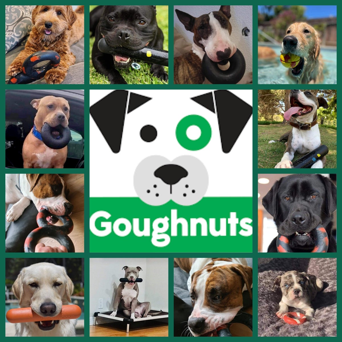 Goughnuts | onverwoestbaar hondenspeelgoed