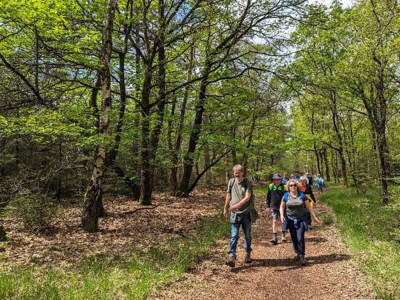 Wandelroutes in Brabant - De mooiste wandelingen