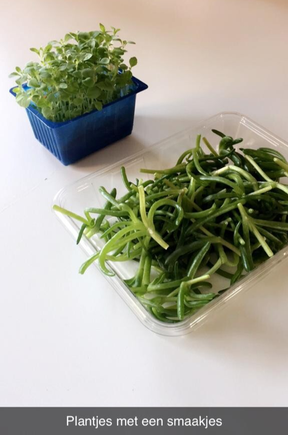 Foto's / Leerjaar 1 | Portfolio Simone Roos