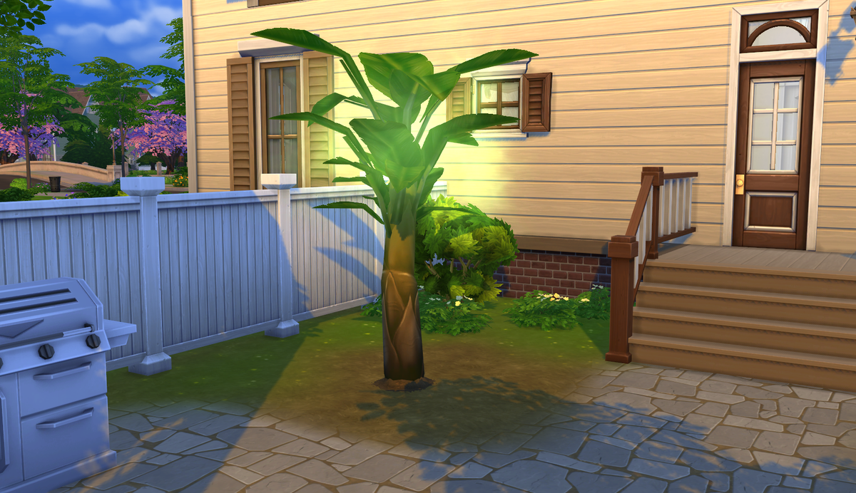 Sims 4 PlantSim | MoonshineSim