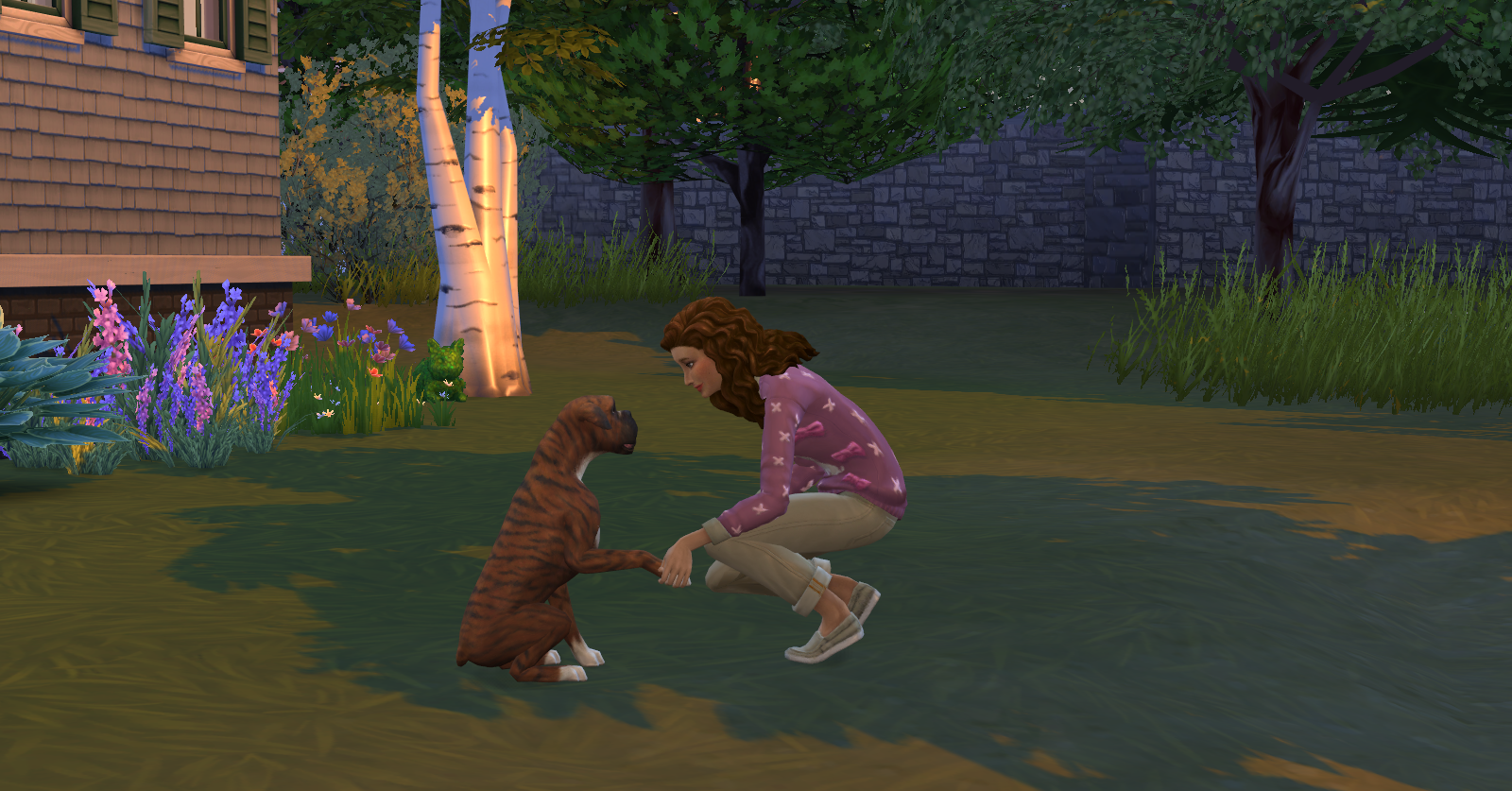 Sims 4 Honden en Katten Gids | MoonshineSim