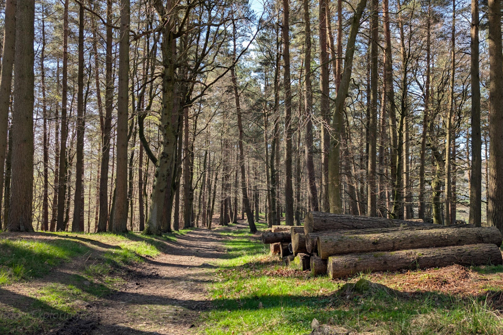Bowlees Visitor Centre Teesdale Walks, Waterfalls and Complete Guide ...