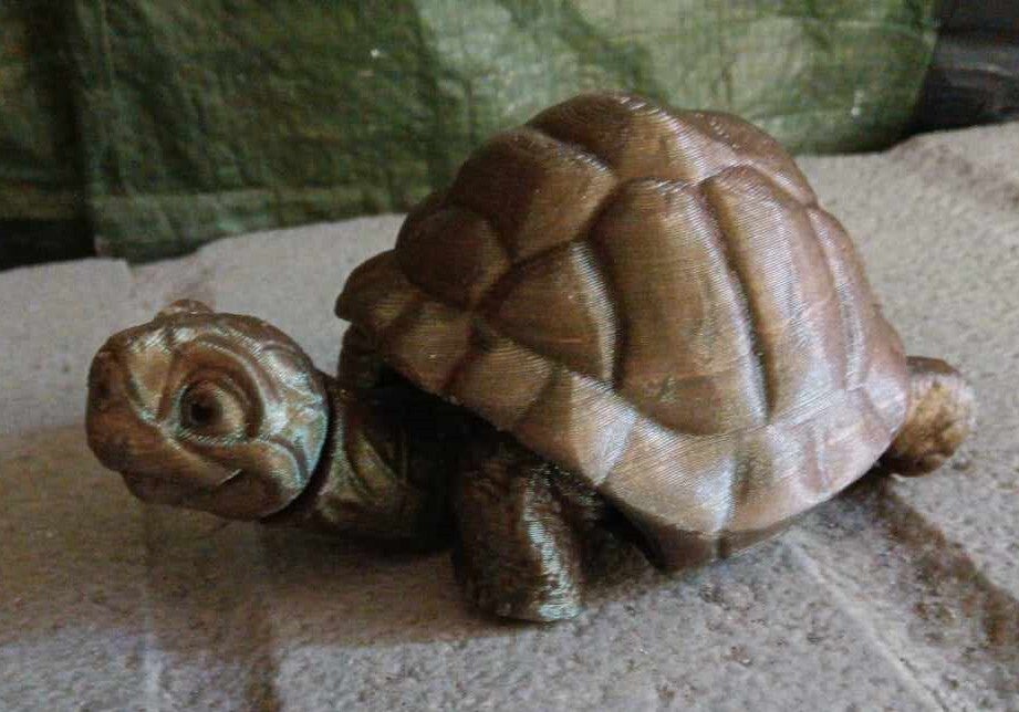 MatMire Makes - Box Turtle | Signature 3D Prints