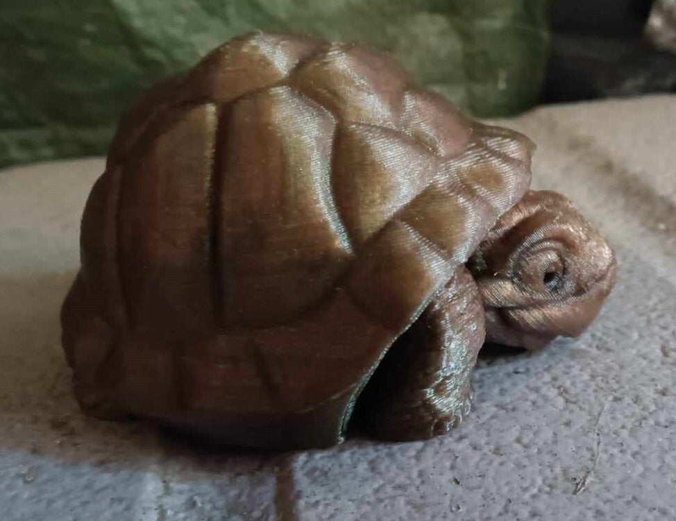 MatMire Makes - Box Turtle | Signature 3D Prints