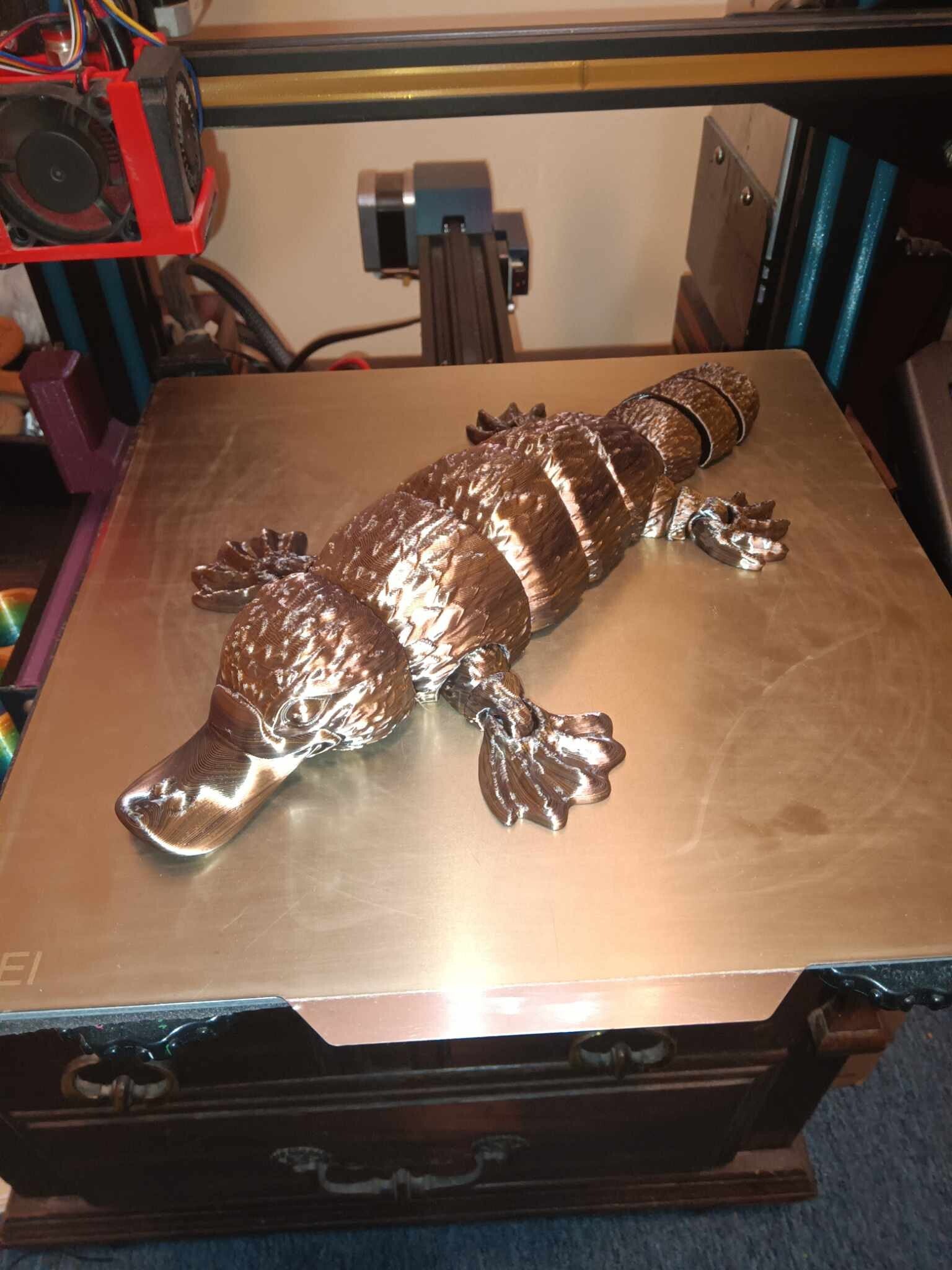 MatMire Makes - Platypus | Signature 3D Prints