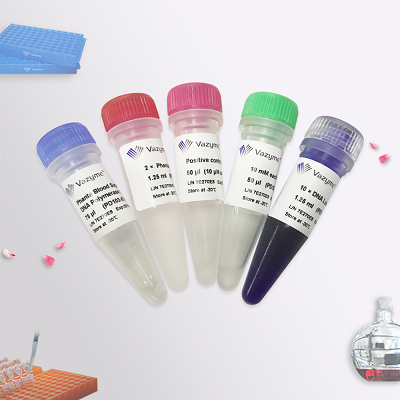 Blood Direct PCR Kit V2 | BioLinksLabSupplies