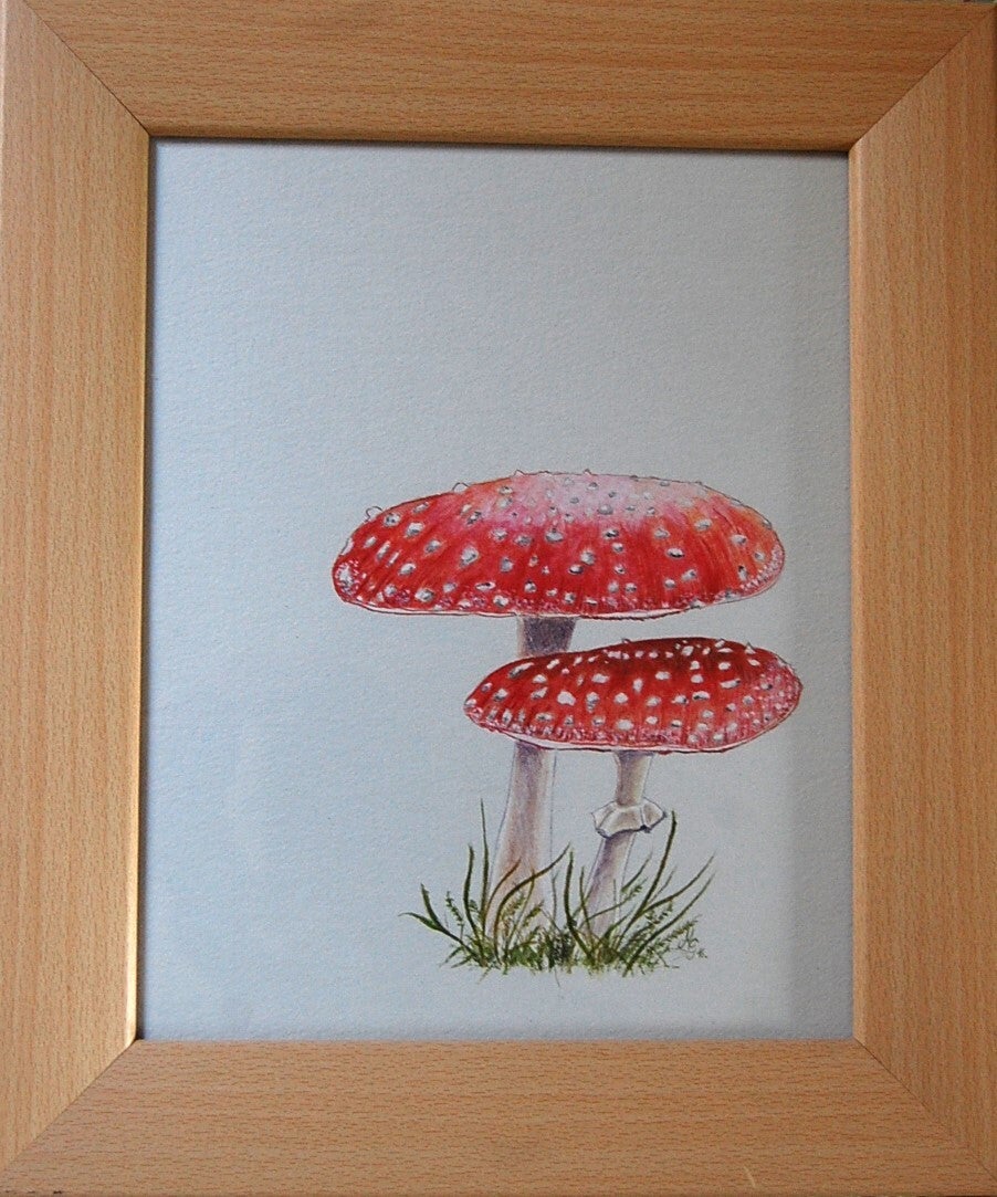 Tine's botanische aquarellen