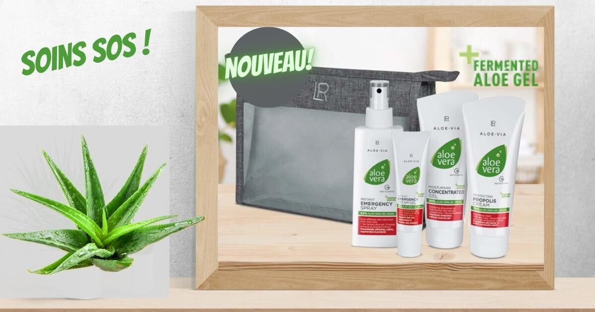 Aloe Vera Special Care Box LR