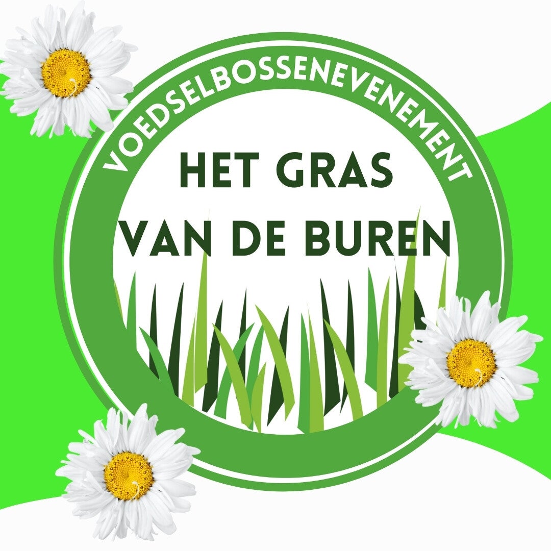 Stand huren of workshop geven | Het gras van de buren
