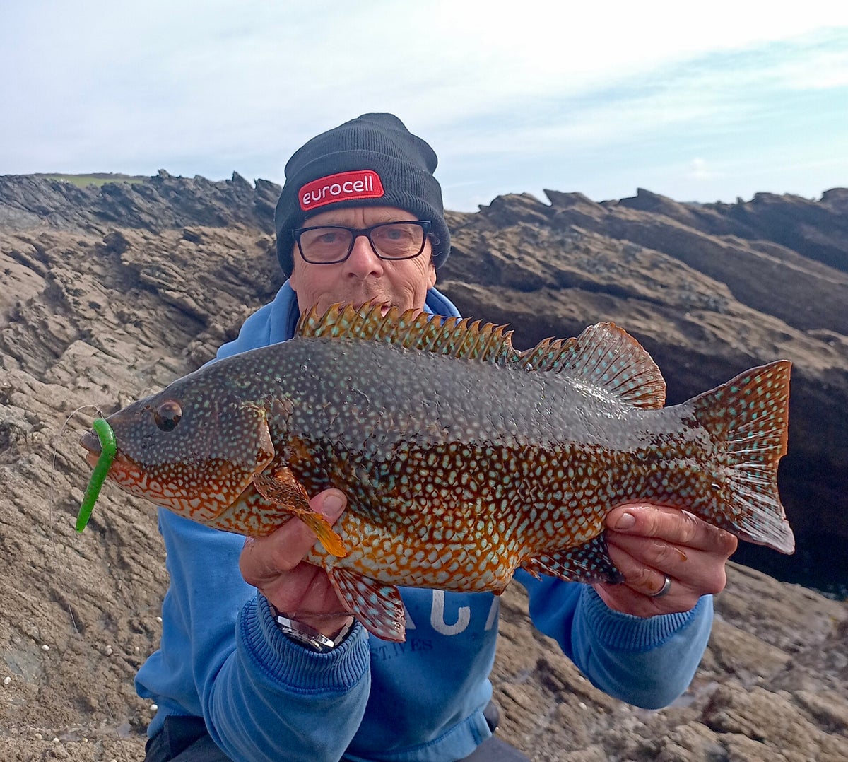 TIPS FOR WRASSE FISHING / Hints & Tips | Coastal Lure Fishing