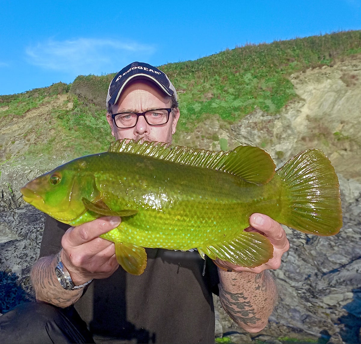 WRASSE FISHING - THE TERMINAL TACKLE / Hints & Tips | Coastal Lure Fishing
