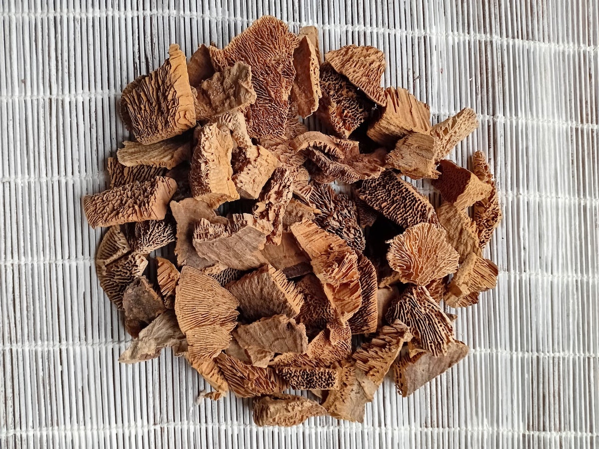 CORK BARK PIECES - SMALL | Folly Flora