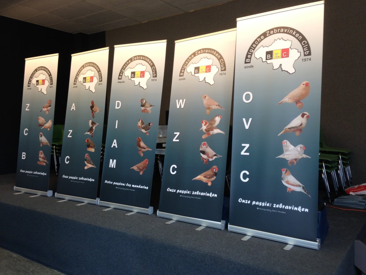 Zebravinkenfeest / BZC | bzc-zebravinken.be