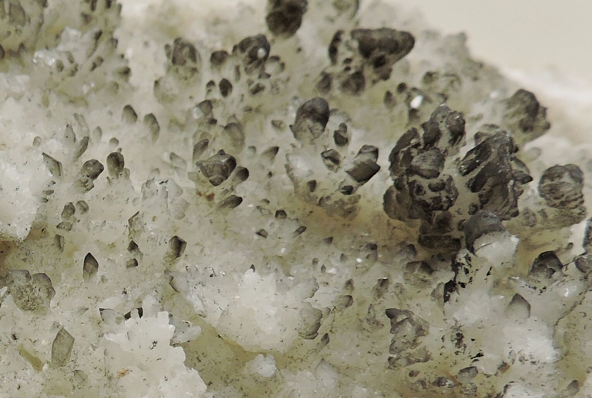 Gypsum from Germany - old find - rare - large cabinet size | MINERAL ...