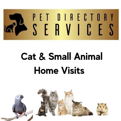 Cat & Small Animal Home Visits -Conwy