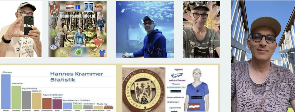 Calanthe sieboldii / Blog | Hannes Krammer