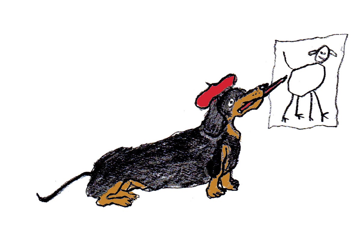 about | Stoopidrawings