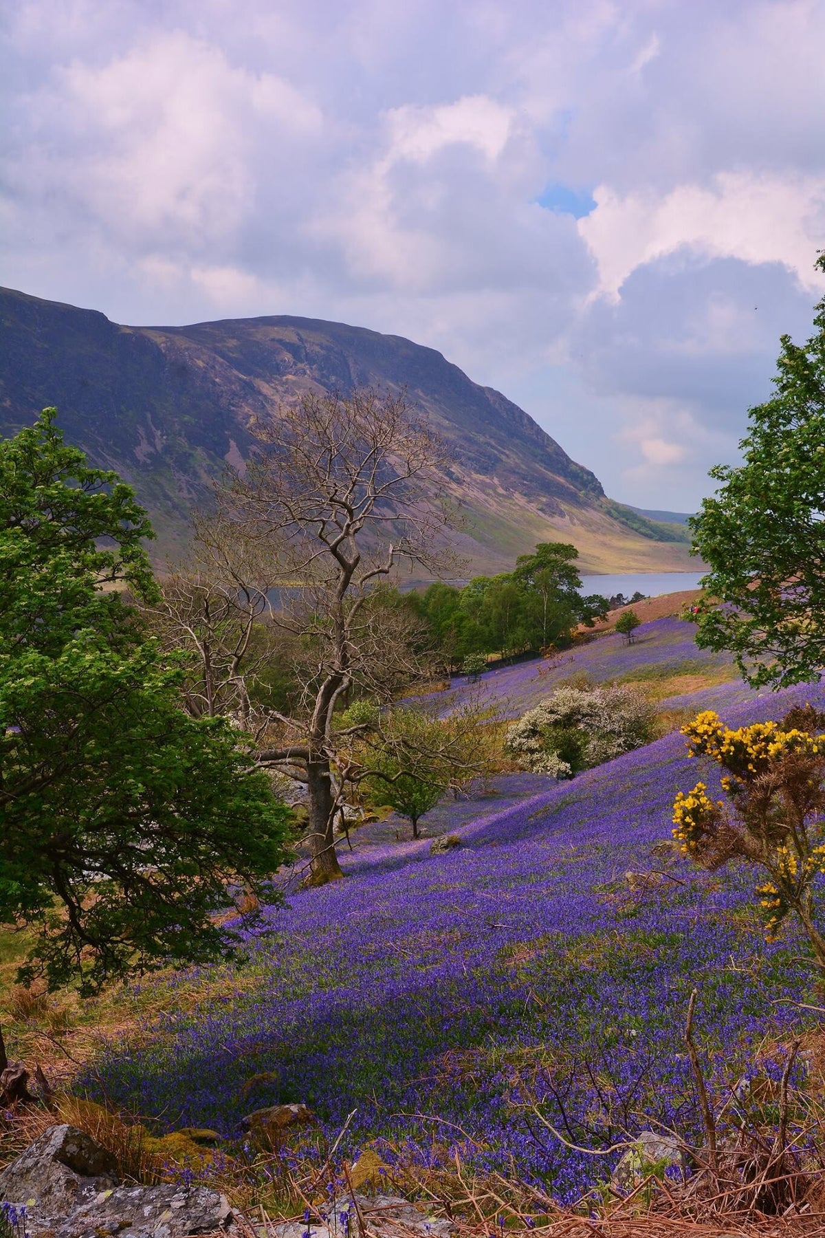 Cumbria Nature Festival