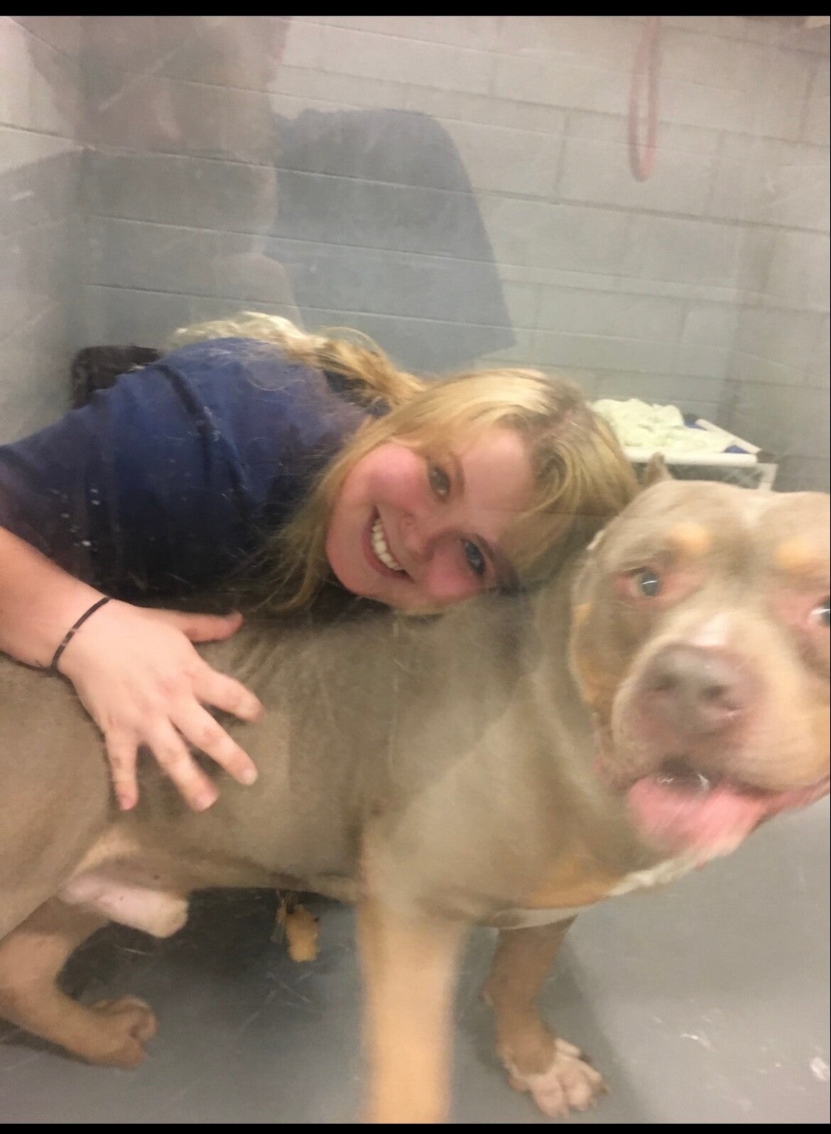 Pricing | Hailey's Pet Sitting and Dog Walking