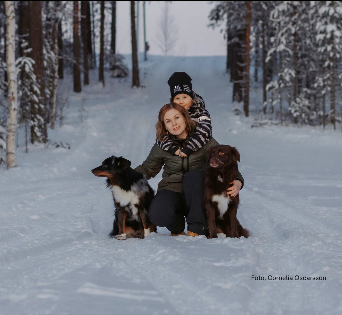 Rakki Hundtjänster Pajala