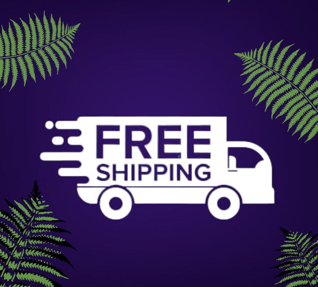 Iconic Wigz Collection