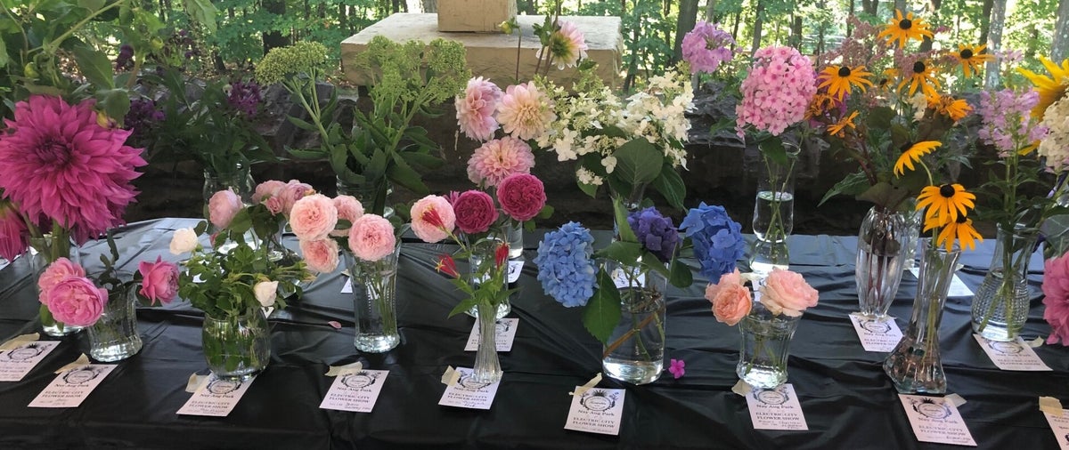 Competition Categories | Electric City Flower Show