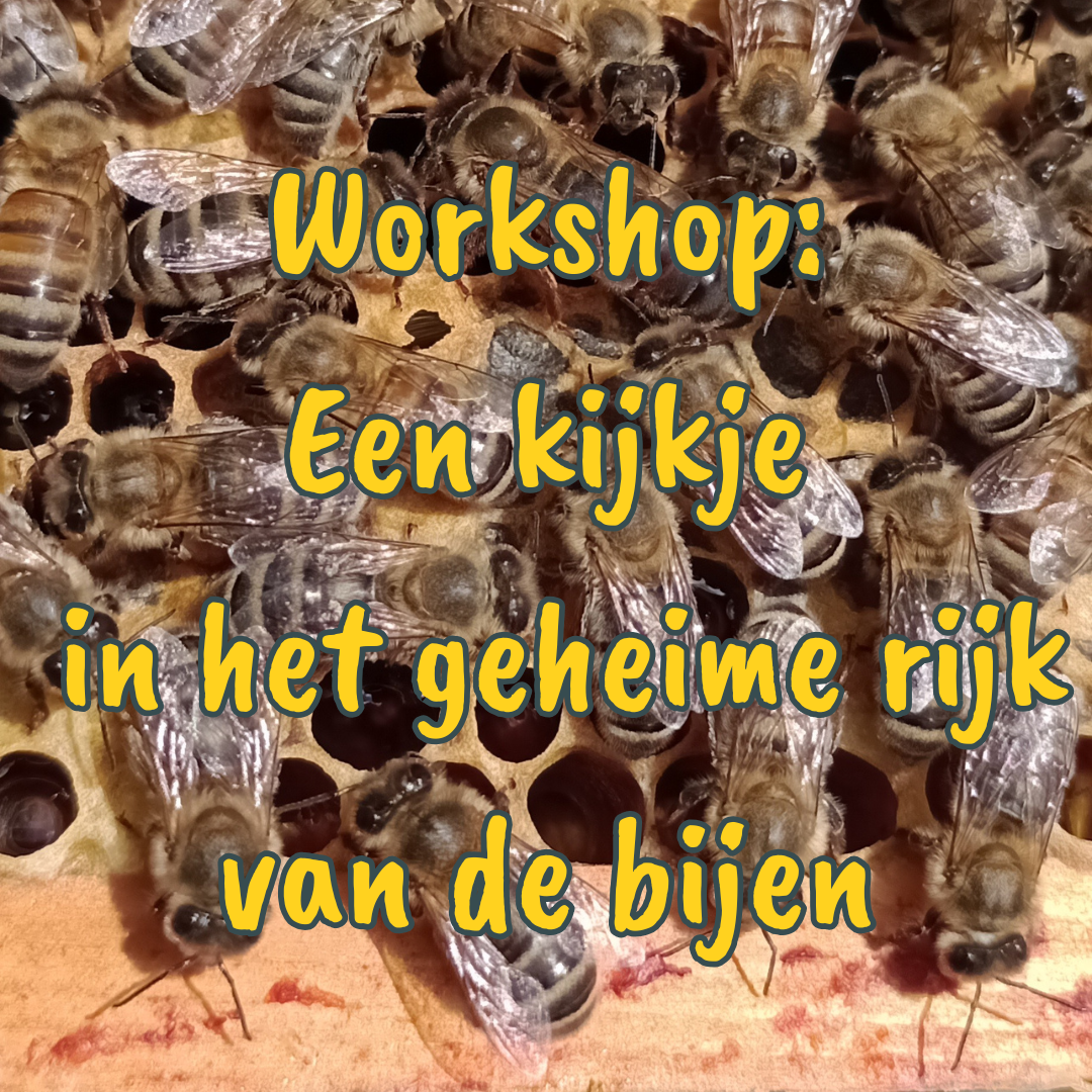Bijen en Kruiden