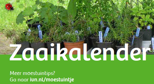 Zaaikalender | De moestuin