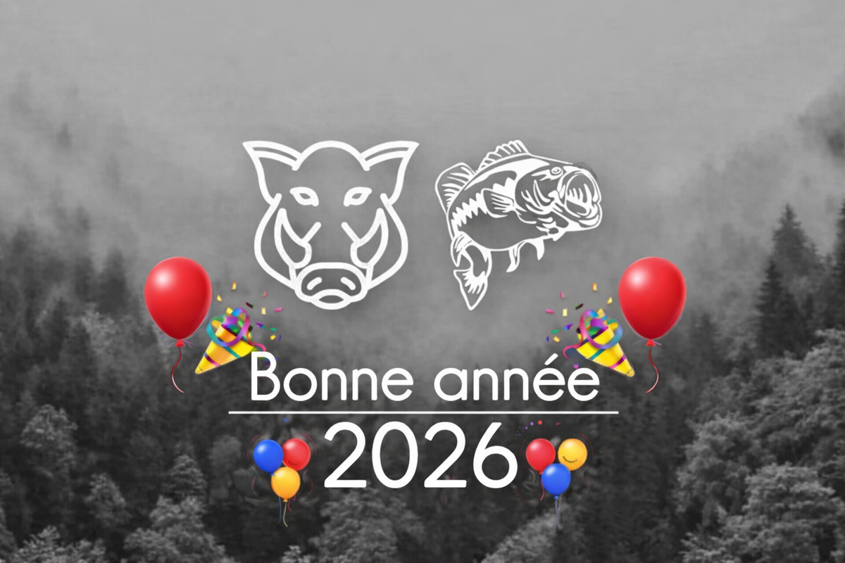 Cannes light / LA TRUITE AUX LEURRES / Truite / Pêche | Huntingandfishing