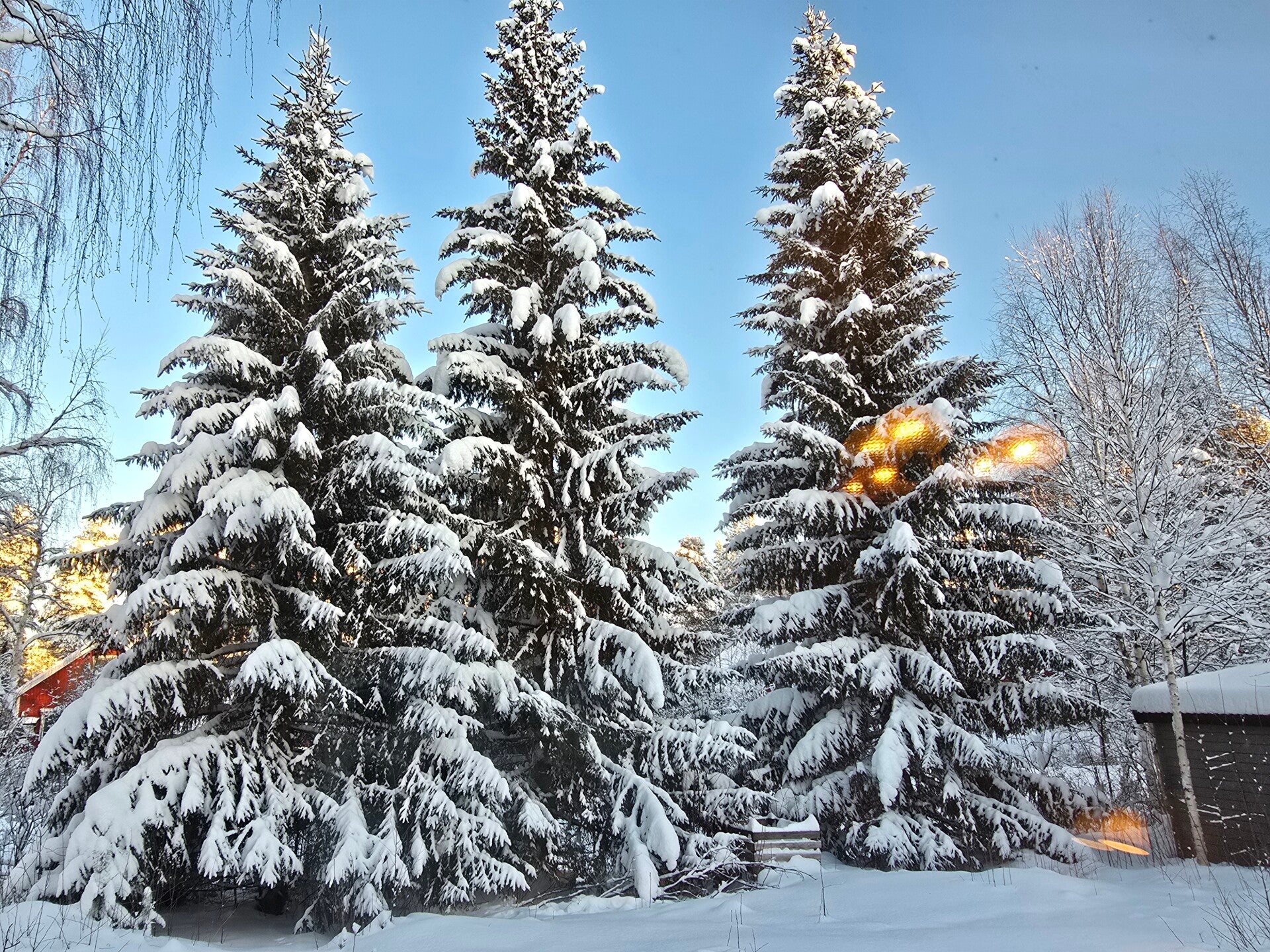 Hus Norrbotten / Ferienhäuser | Nordschweden-Ferienhaus
