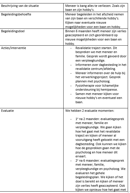 Opdracht begeleidingsplan | NAHcarmen