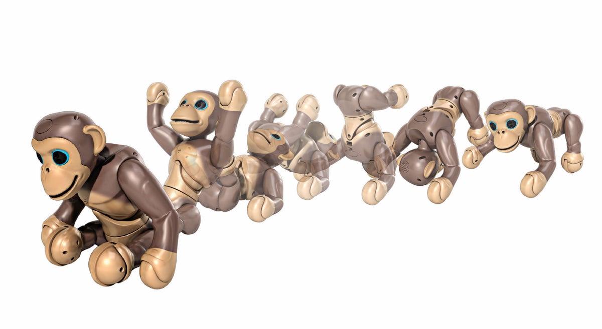 robot-jacob/en