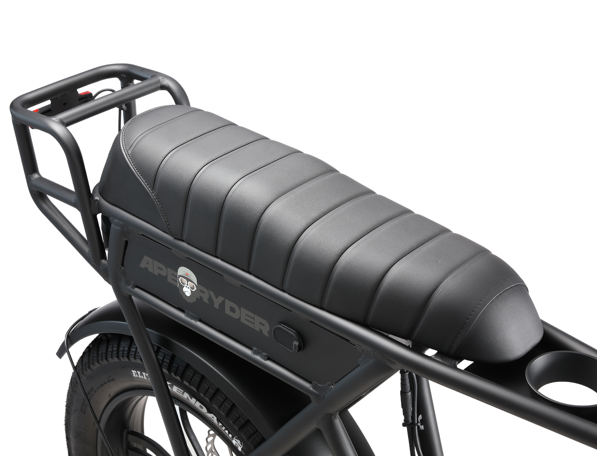 Fatbike Ape Ryder A10 Pro + GPS Tracker | Matrixemobility.com