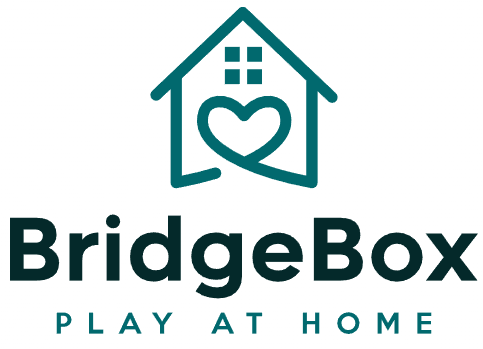 New "BridgeBox" play bridge at home