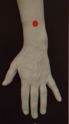 Doe het zelf | De Zonnevoet