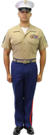 Blue Dress "D" | USMC Uniform Guide
