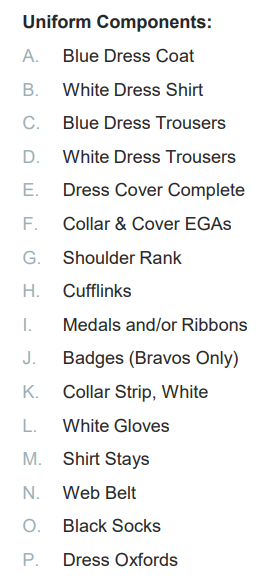 Blue Dress Inventory Page / Officer Blue Dress A (medals) / Blue Dress ...