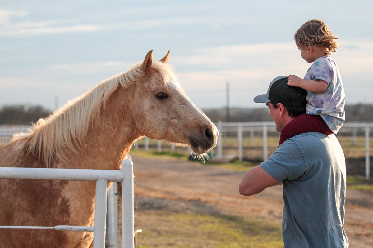 The Pony Photographer