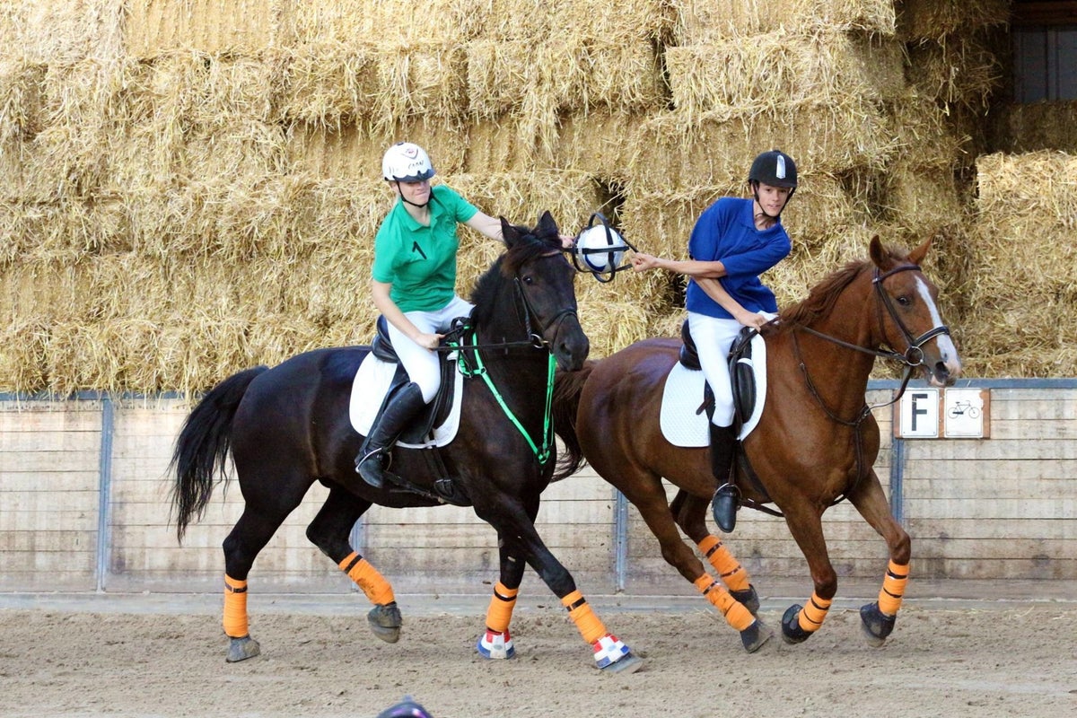www.paardensportcentrum.nl